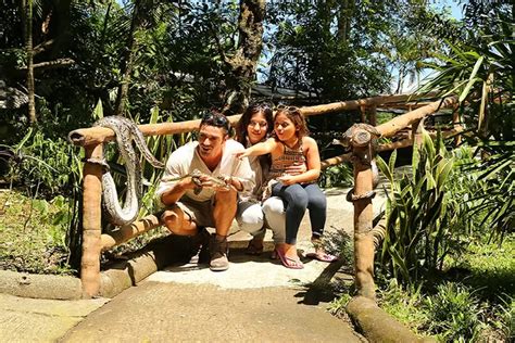 Terbaru Ini Harga Tiket Masuk Taman Safari Prigen 2024 Kabar BUMN