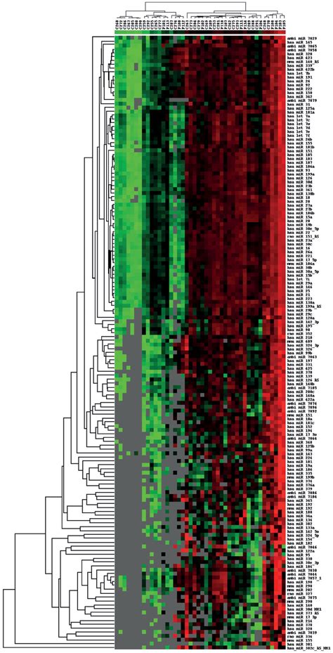 unsupervised cluster analysis of mirna microarray data clustering download scientific diagram