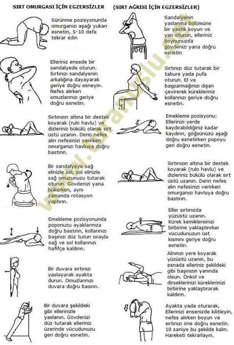 Fizik Tedavi Egzersizleri Fizik Tedavi Egzersizleri Fizik Tedavi
