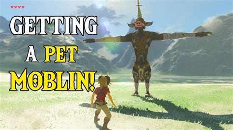 Link Gets A Pet MOBLIN Zelda Breath Of The Wild YouTube
