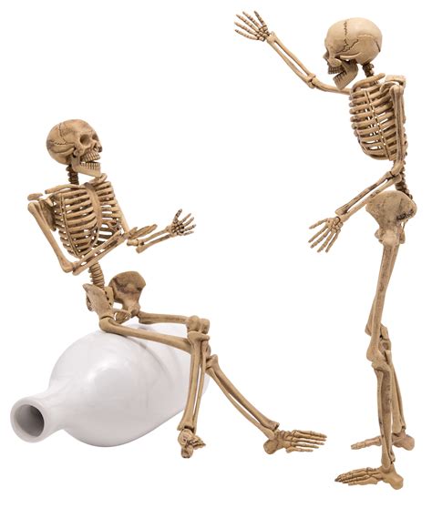 Human Skeleton As People Talking Isolated Png
