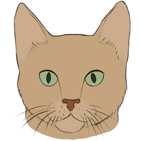 How To Draw A Cat Face Easy Drawing Art