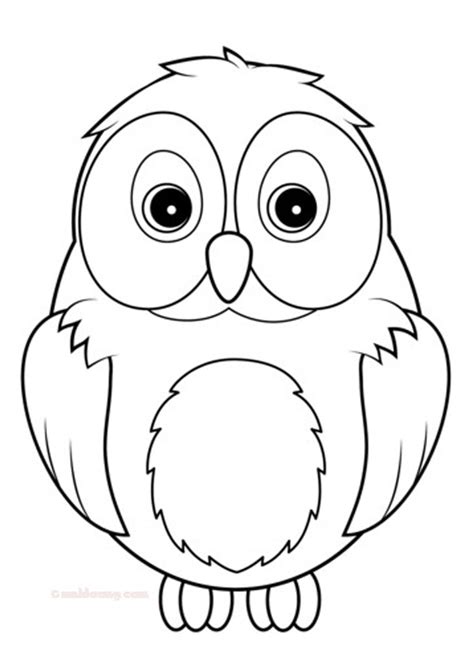 Cute Owl Pictures To Colour Infoupdate Org