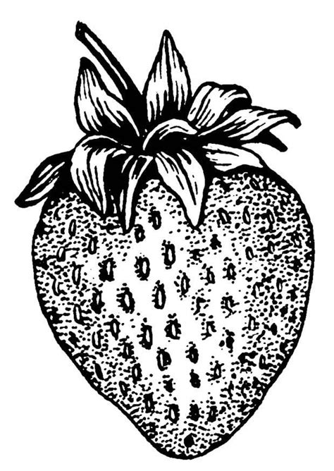 Dibujo Para Colorear Fresa Img 18766
