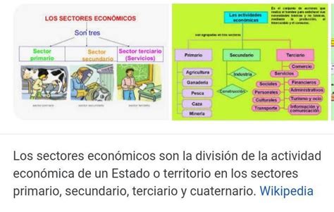 Cuáles son los sectores económicos Brainly lat