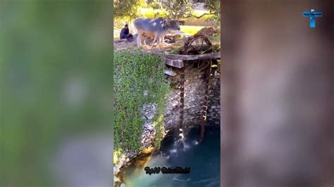 TOP 35 INCREDIBLE MOMENTS YOU WOULDN T BELIEVE IF THEY WEREN T RECORDED