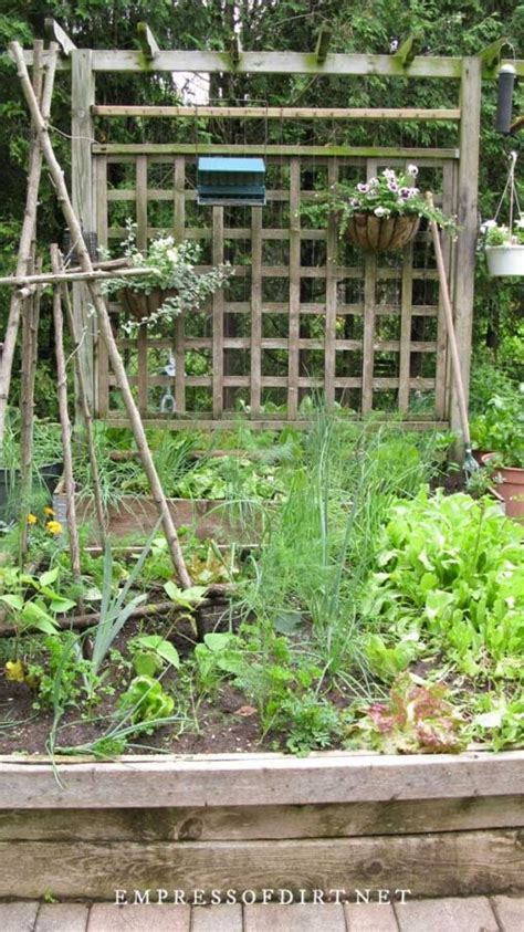 25 Vegetable Garden Design Layout Ideas With Photos
