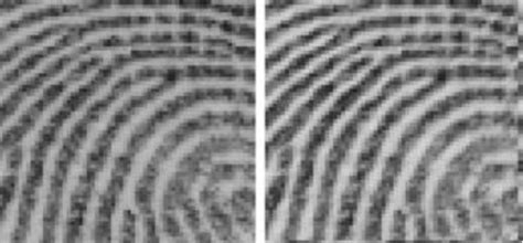 figure 3 from analysis of fingerprint image enhancement using gabor filtering with different