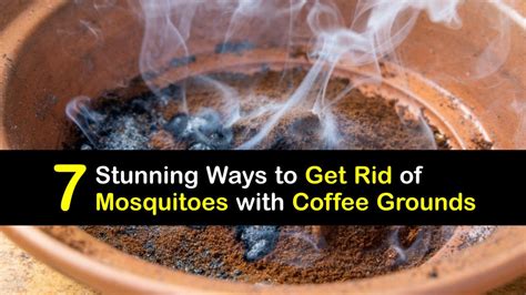 Burn Coffee Grounds For Mosquitoes At Reteinipisiblog Blog
