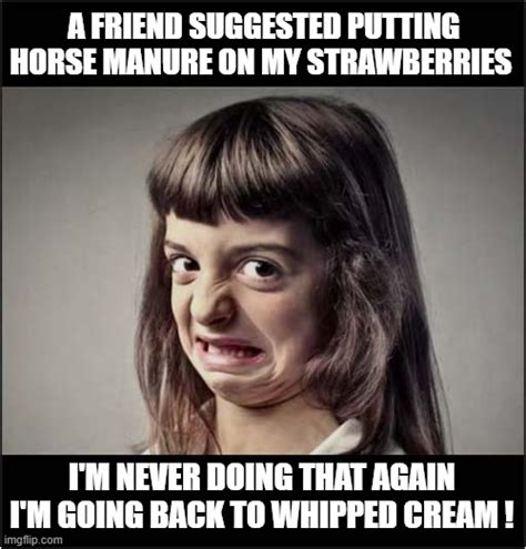 Given Bad Advice Imgflip