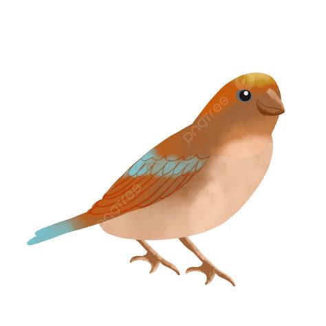 Animal De Pássaro Marrom Aquarela PNG Aguarela Pássaros Animal