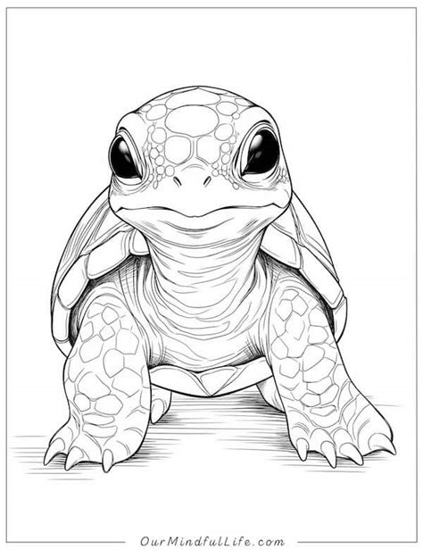 Fun Tastic Turtle Coloring Pages Free Printable