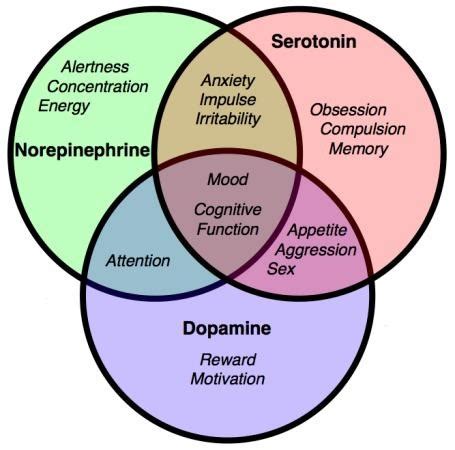 L A Depression And Anxiety Flashcards Quizlet