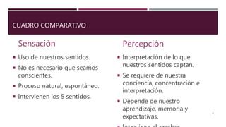 SENSACIÓN Y PERCEPCIÓN PPT Descarga Gratuita