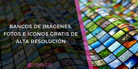 Mejores Bancos De Imagenes Gratis Descargar Fotos Iconos Gratuitos Alta