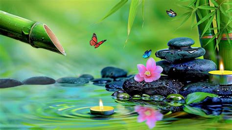 Relaxing Sleep Music Bamboo Water Fountain Healing Music Stress