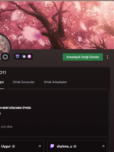 Discord profil nasıl renkli yapılır
