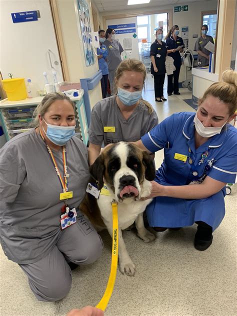 Barnsley Hospital On Twitter RT Lauraclarke Rd ICU AMU At