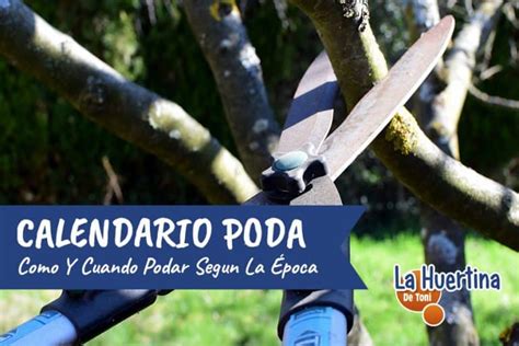 Calendario De Poda Como Y Cuando Podar Tus Plantas Arbustos Y Arboles
