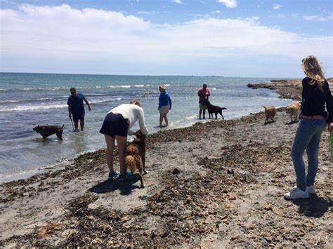 Playa Canina en Santa Pola El paraíso para disfrutar con tu mejor