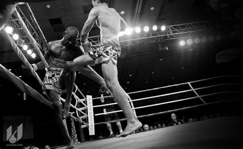 Muay Thai Fighter Wallpaper