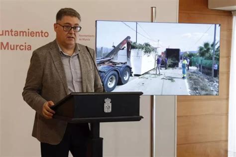 Ayuntamiento Murcia Prepara Un Plan Integral De Limpieza De Podas En