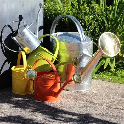 Arrosoir en acier galvanisé avec pomme 1 75 litres vert olive