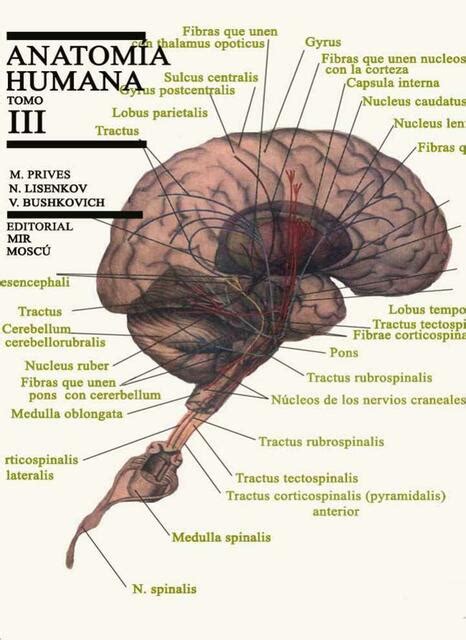Libros UDocz