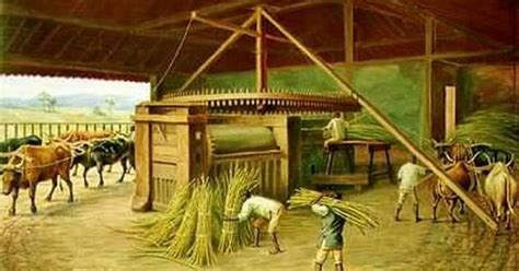 História do Brasil o ciclo da cana de açúcar Notícias Concursos