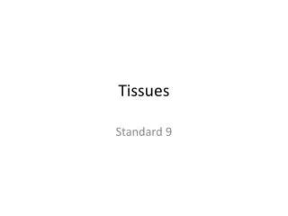 Ppt Lab Exercise Classification Of Tissues Epithelial Tissue