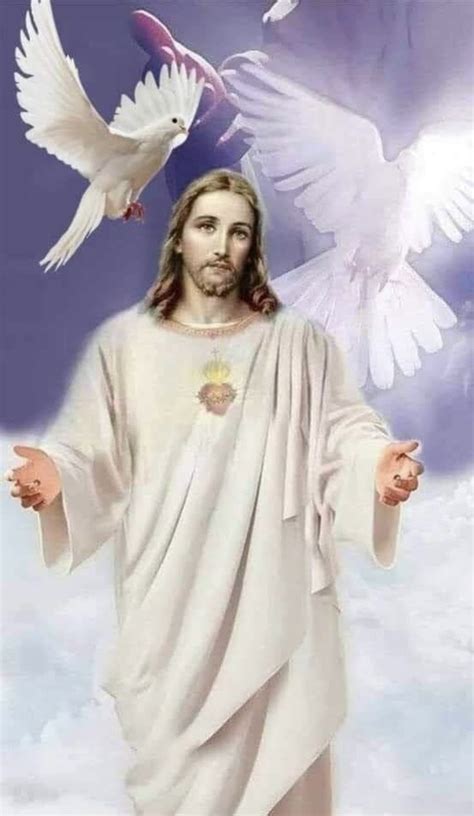 Pin de Norma Torres em CRISTO JESÚS JESUCRISTO Imagem de jesus
