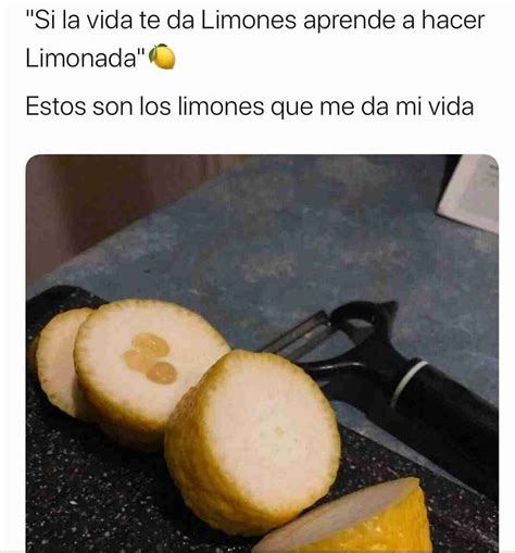 Si La Vida Te Da Limones Aprende A Hacer Limonada Estos Son Los