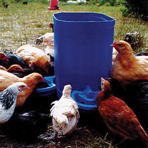 Abreuvoir Poule Fait Maison Ventana Blog