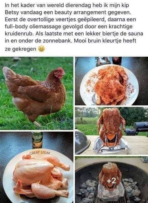 Pin By Jessica V Rijckevorsel On Gewoon Grappig Rooster