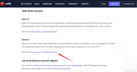 centos下redis6 x安装教程 centos安装redis6 csdn博客