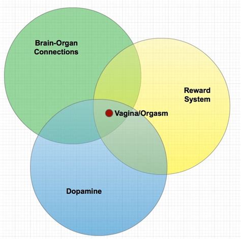The Vagina Scientist Strikes Back Dr Jim Pfaus S Defense Of Naomi