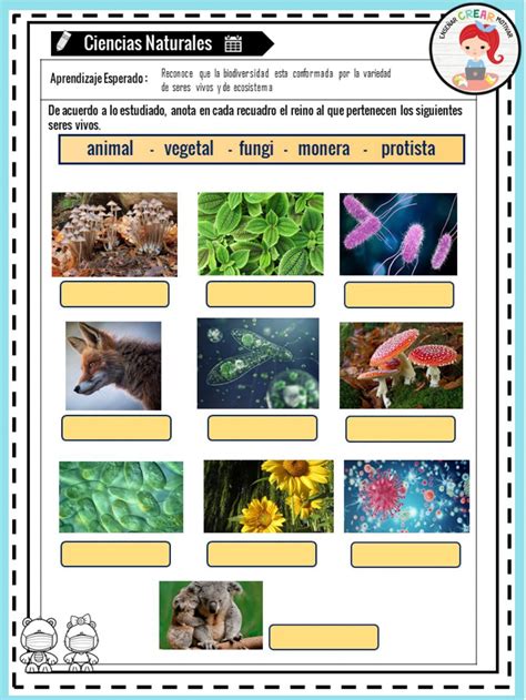 Clasificación reinos de los seres vivos worksheet Ciencias de la