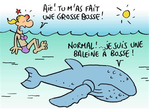Baleine Bosse Wwf Panda Club Anciens Et R Unions