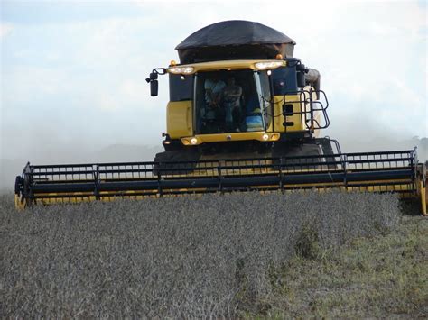 Agropecu Ria Reduz Biodiversidade No Cerrado E Na Amaz Nia Ciclovivo