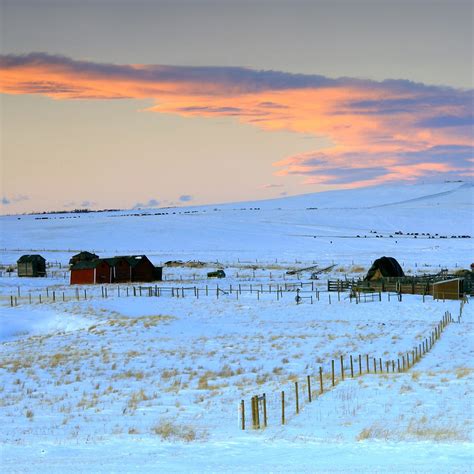 Winter Newsletter Available