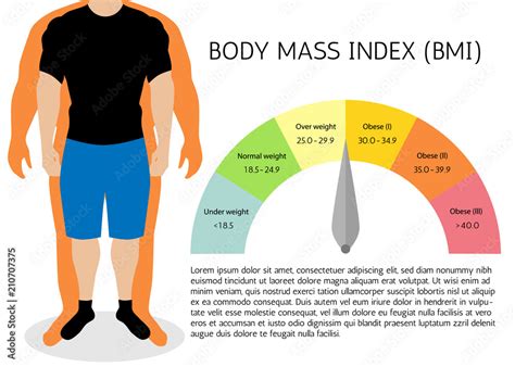 BMI or Body Mass Index Infographic Chart Vector illustration เวกเตอร