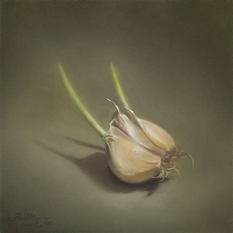 Garlic Painting At PaintingValley Explore Collection Of Garlic