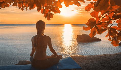 Conexión Mente Cuerpo Yogibar
