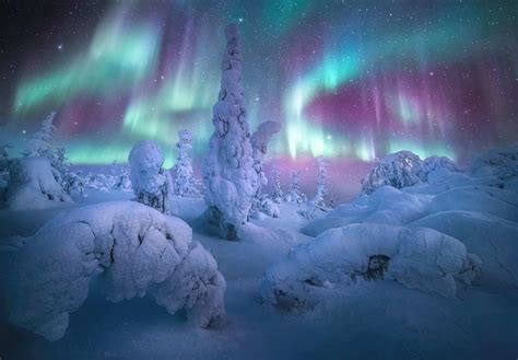 Las mejores imágenes de auroras boreales capturadas este año Viajamos