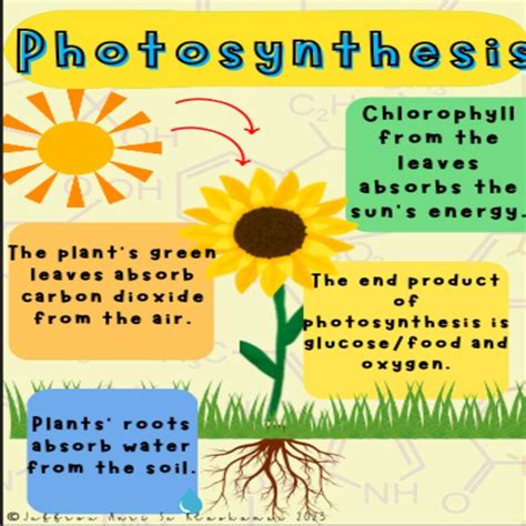 Grade 7 Natural Science Term 1 Posters Teacha