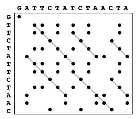 Sequence Alignment Definition Types Methods Uses