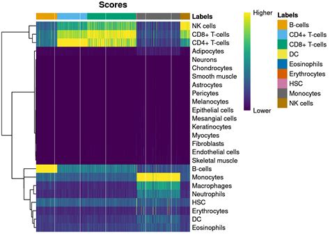 Chapter Cell Type Annotation Basics Of Single Cell Analysis With