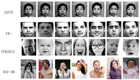 information free full text facial expression recognition based on random forest and