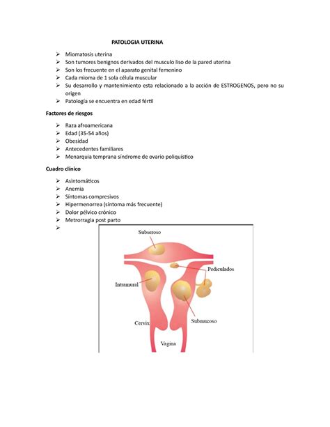 Patologia Uterina Resumen PATOLOGIA UTERINA Miomatosis Uterina Son
