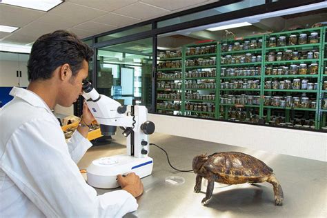 UAG fortalece investigación con universidades de la Red CINTANA UAG